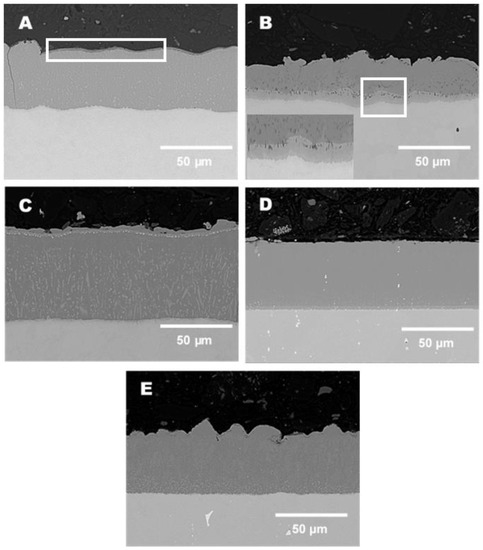 Preliminary Studies on Rare Elements Addition and Effect on Oxidation ...