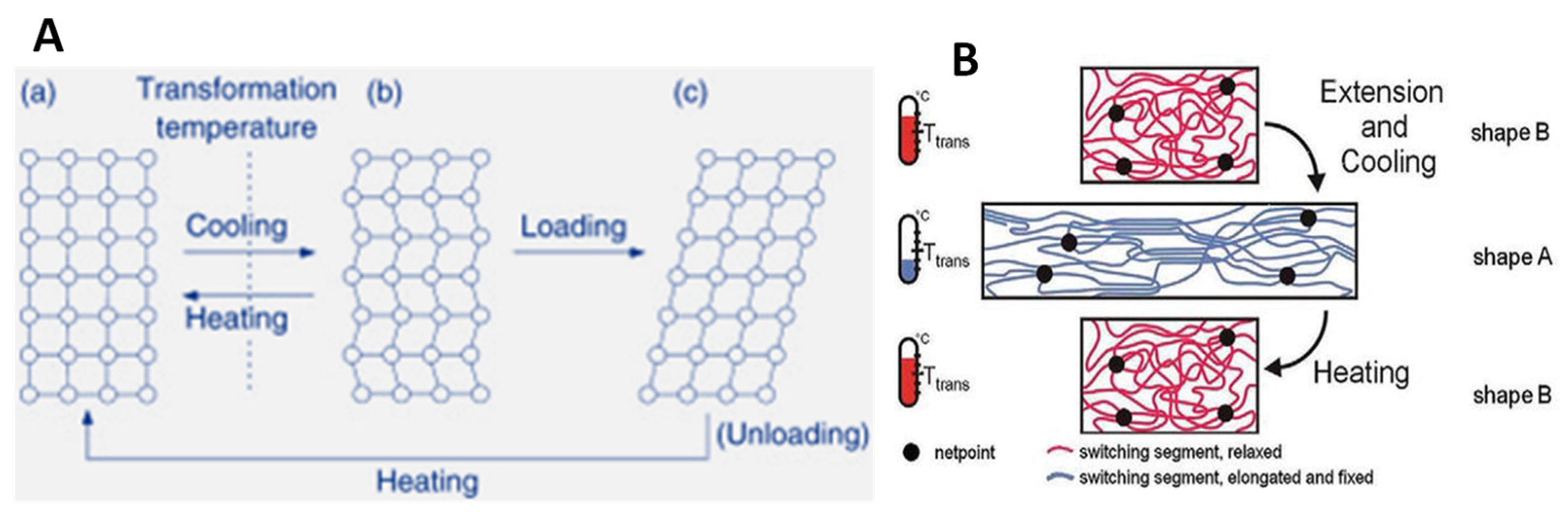 Materials | Free Full-Text | Shape Memory Materials from Rubbers
