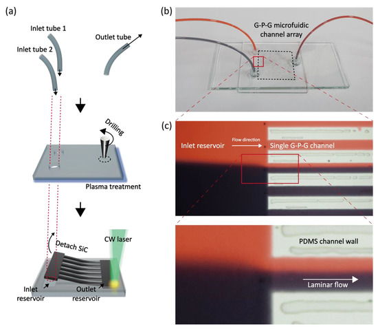 Fabrication of Perforated PDMS Microchannel by Successive Laser Pyrolysis