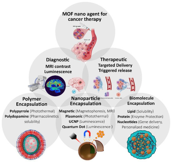 Metal–Organic Frameworks (MOFs) for Cancer Therapy