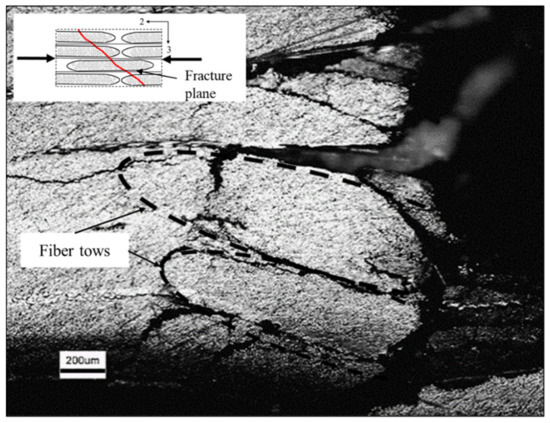 Effect of Strain Rate on the Transverse Tension and Compression ...