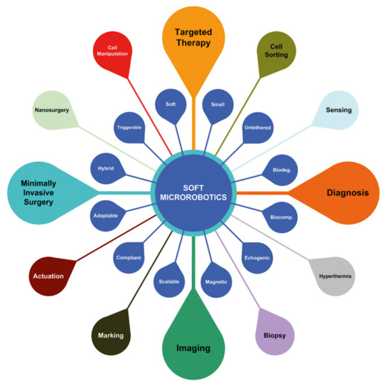Materials | Free Full-Text | Hemodynamics Challenges for the Navigation ...