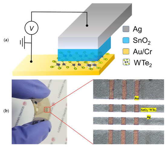 Flexible Memory Device Composed of Metal-Oxide and Two-Dimensional ...