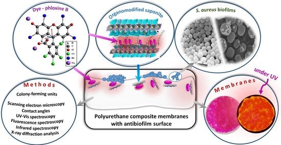 Materials | Special Issue : Functionalized Mineral Materials in ...