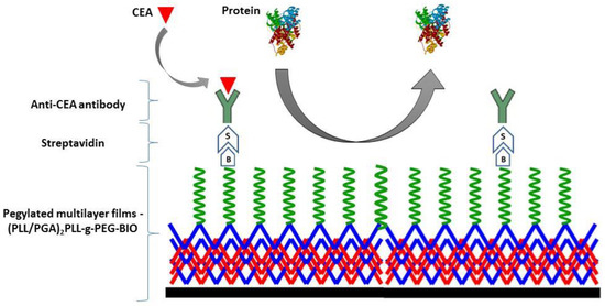 Control of Specific/Nonspecific Protein Adsorption: Functionalization ...