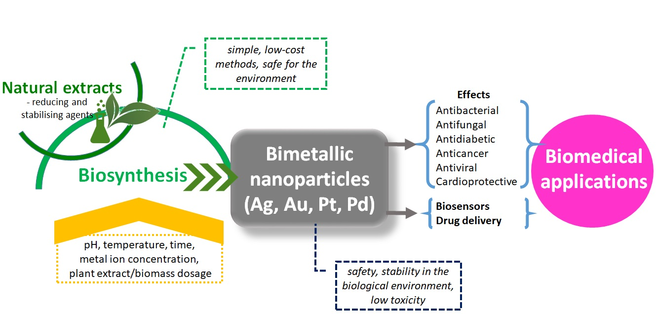 Materials | Free Full-Text | A Review on Plant-Mediated Synthesis of Bimetallic Nanoparticles ...