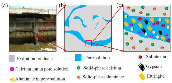 A Chemical-Transport-Mechanics Numerical Model for Concrete under ...