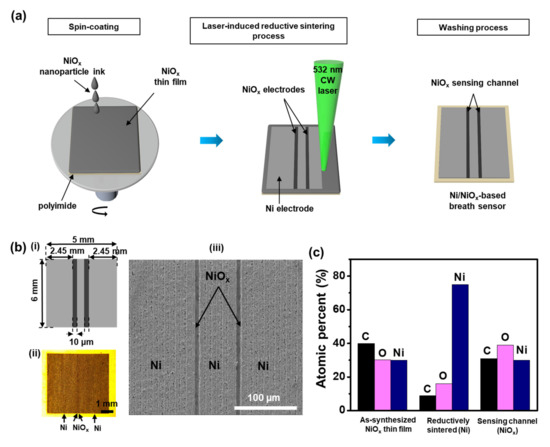 Flexible Ni/NiOx-Based Sensor for Human Breath Detection