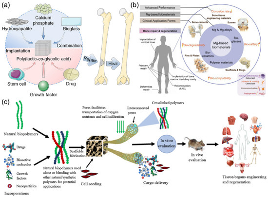Biomedical Alloys and Physical Surface Modifications: A Mini-Review