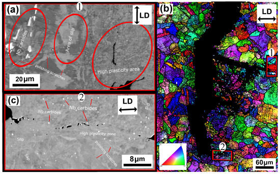 High Temperature Fatigue of Aged Heavy Section Austenitic Stainless Steels