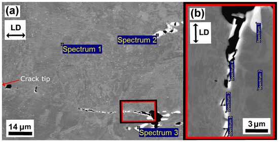 High Temperature Fatigue of Aged Heavy Section Austenitic Stainless Steels