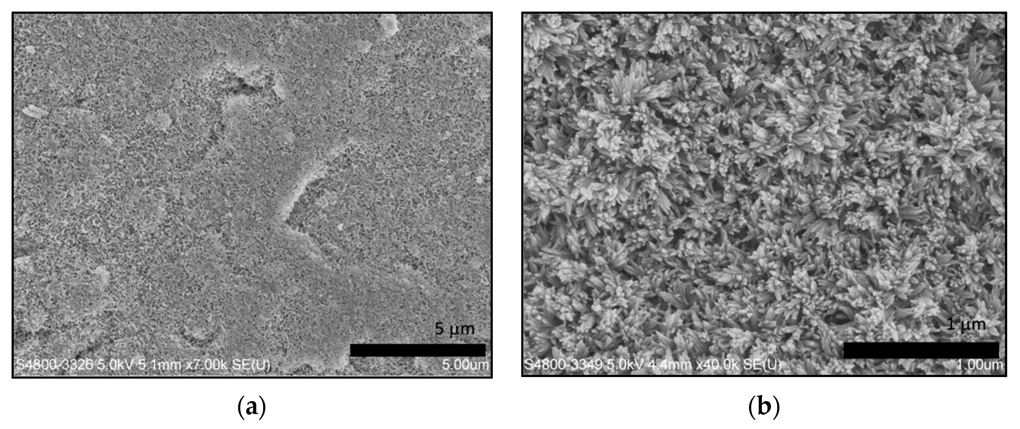 Electrophoresis-Aided Biomimetic Mineralization System Using Graphene ...