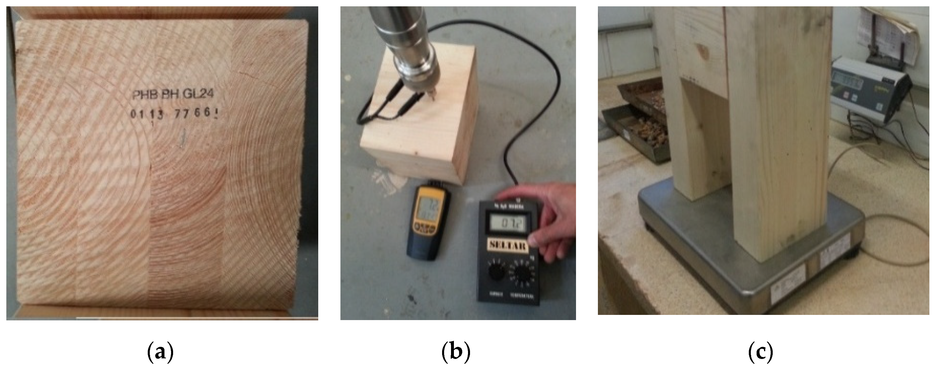 Structural Timber Connections with Dowel-Type Fasteners and Nut-Washer ...