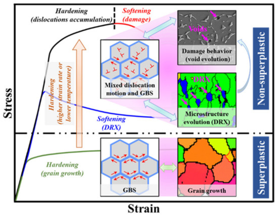 Analysing the Interaction between Microscopic Deformation ...