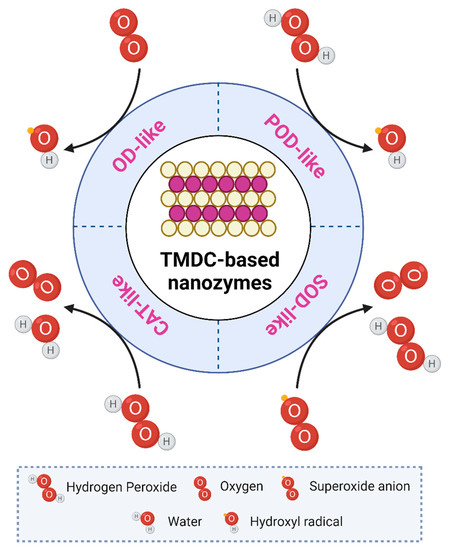 Materials | Free Full-Text | Transition Metal Dichalcogenides (TMDC ...
