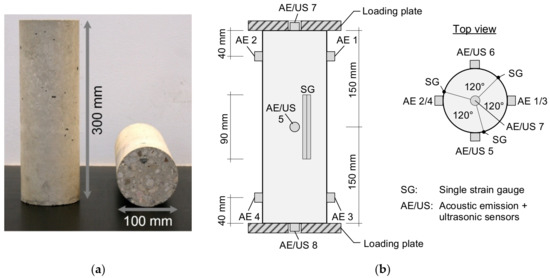 Analysis of Damage Evolution in Concrete under Fatigue Loading by ...