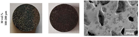 Electrical Impedance of Surface Modified Porous Titanium Implants with ...