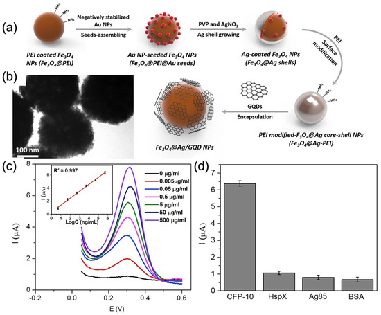 Multifunctional Iron Oxide Magnetic Nanoparticles for Biomedical ...