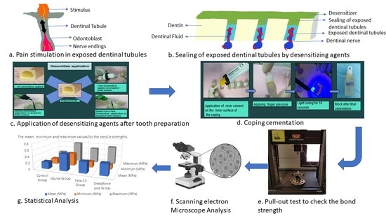 Materials | Free Full-Text | The Effect of Commercially Available ...