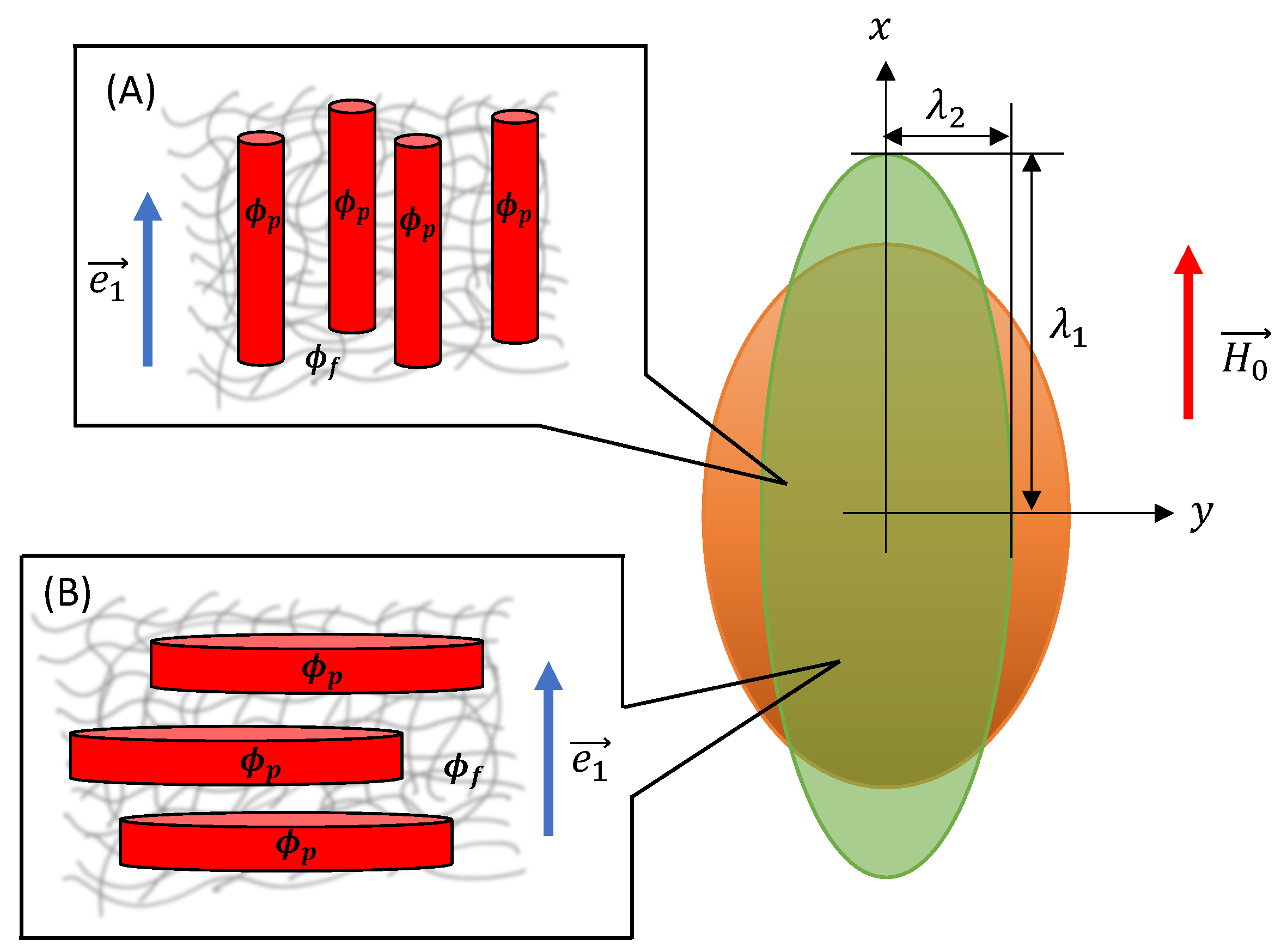 Magneto-Mechanical Enhancement of Elastic Moduli in Magnetoactive ...