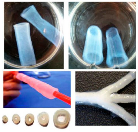 An Overview Regarding Microbial Aspects of Production and Applications ...