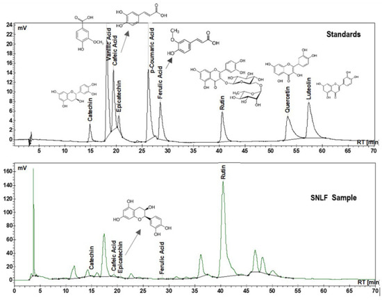 A Flavonoid-Rich Extract of Sambucus nigra L. Reduced Lipid ...