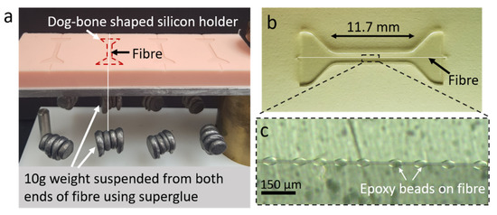Fragmentation of Beaded Fibres in a Composite