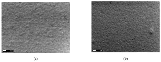 Synthesis, Characterization, and Photocatalytic Activity of Ba-Doped ...
