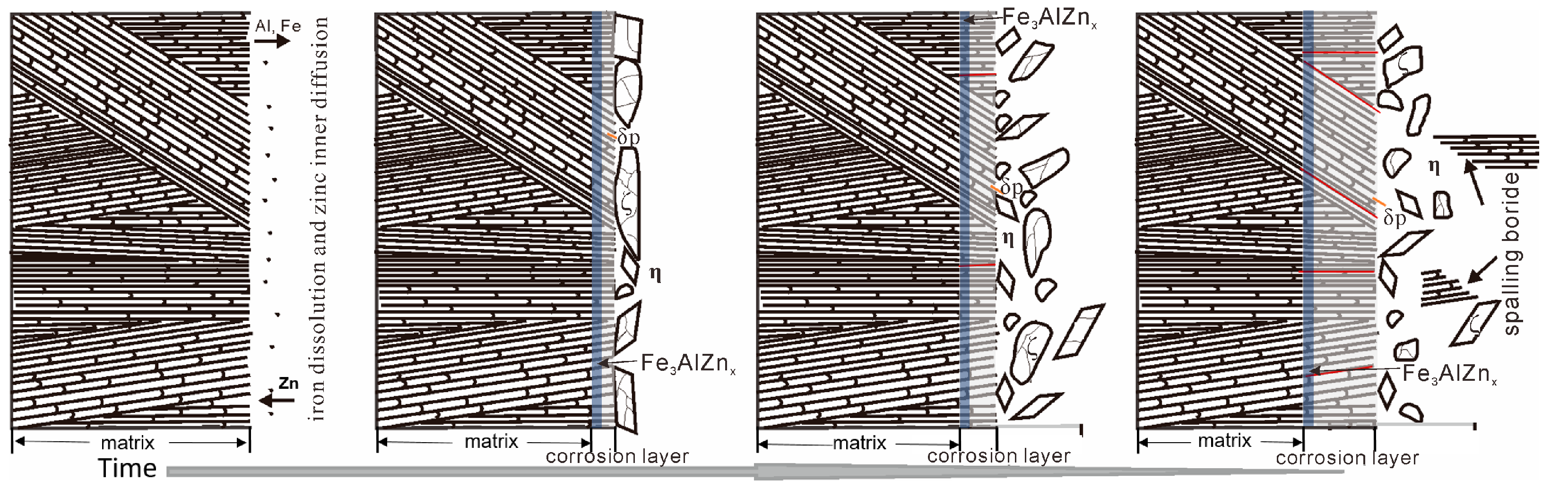Materials Free Full Text The Microstructure And Corrosion Resistance Of Fe B W Mn Al Alloy