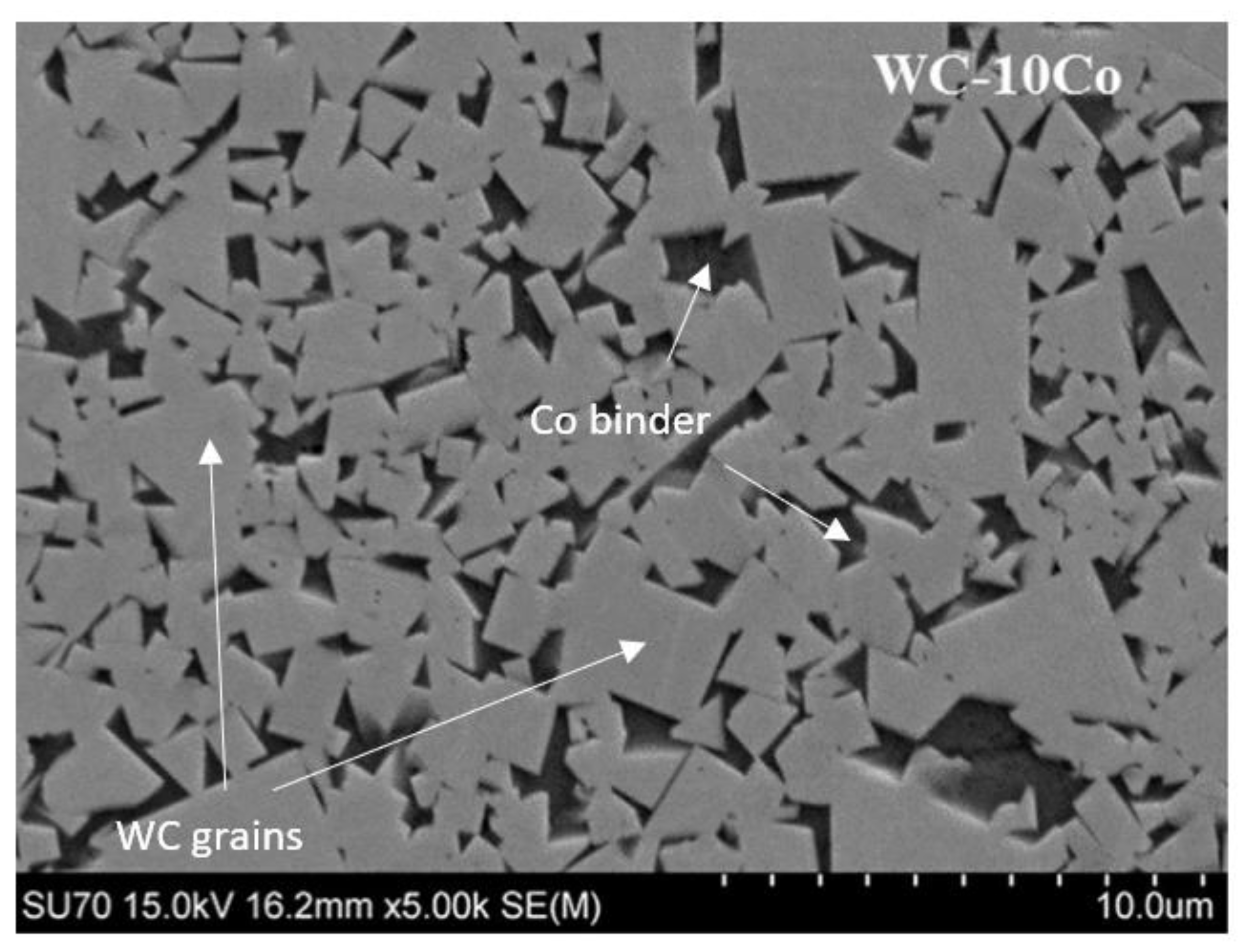 Mechanical and Tribological Characterization of WC-Co and WC-AISI 304 ...