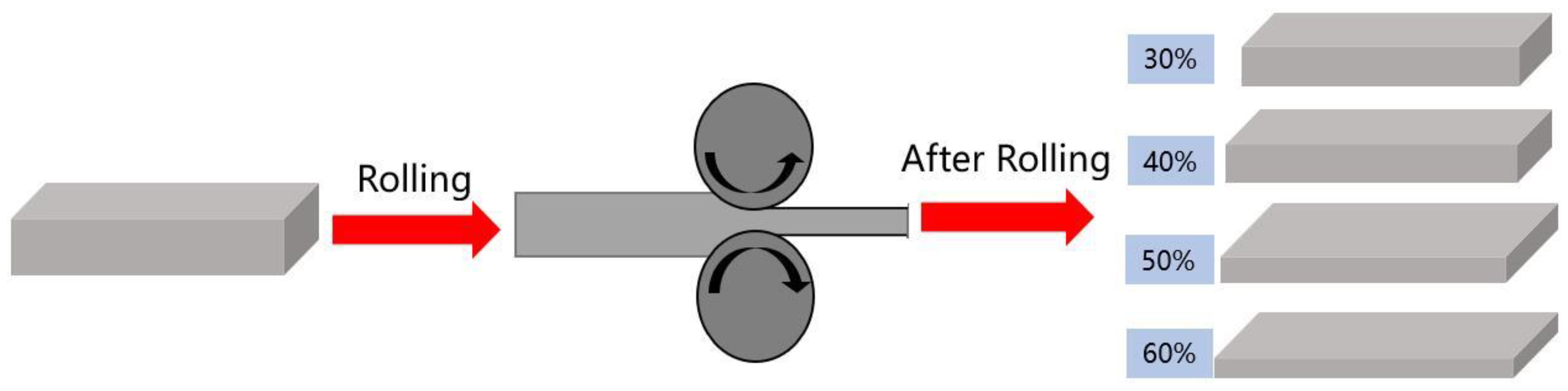 Effect of Cold Rolling and Annealing on the Microstructure and Texture of Erbium Metal