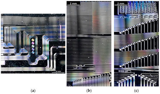 Passive Photonic Integrated Circuits Elements Fabricated on a Silicon ...