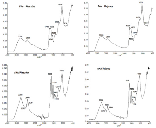 Humus Acids in the Digested Sludge and Their Properties