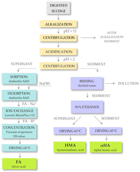Humus Acids in the Digested Sludge and Their Properties
