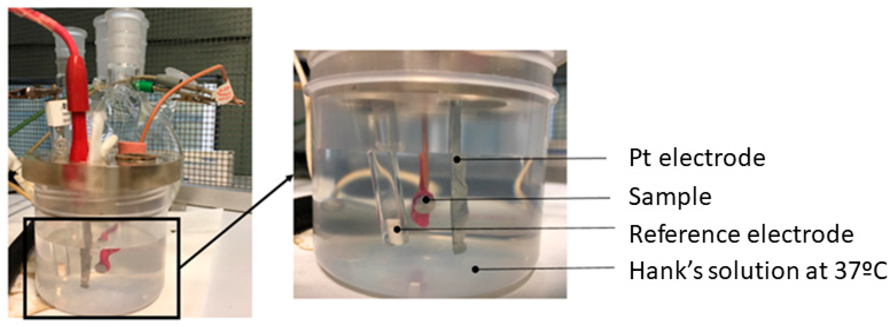 Corrosion Behavior of Titanium Dental Implants with Implantoplasty