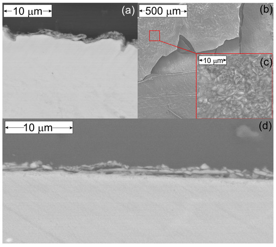 Some Aspects of Oxidation and Reduction Processes in Ti–Al and Ti–Al–Nb ...