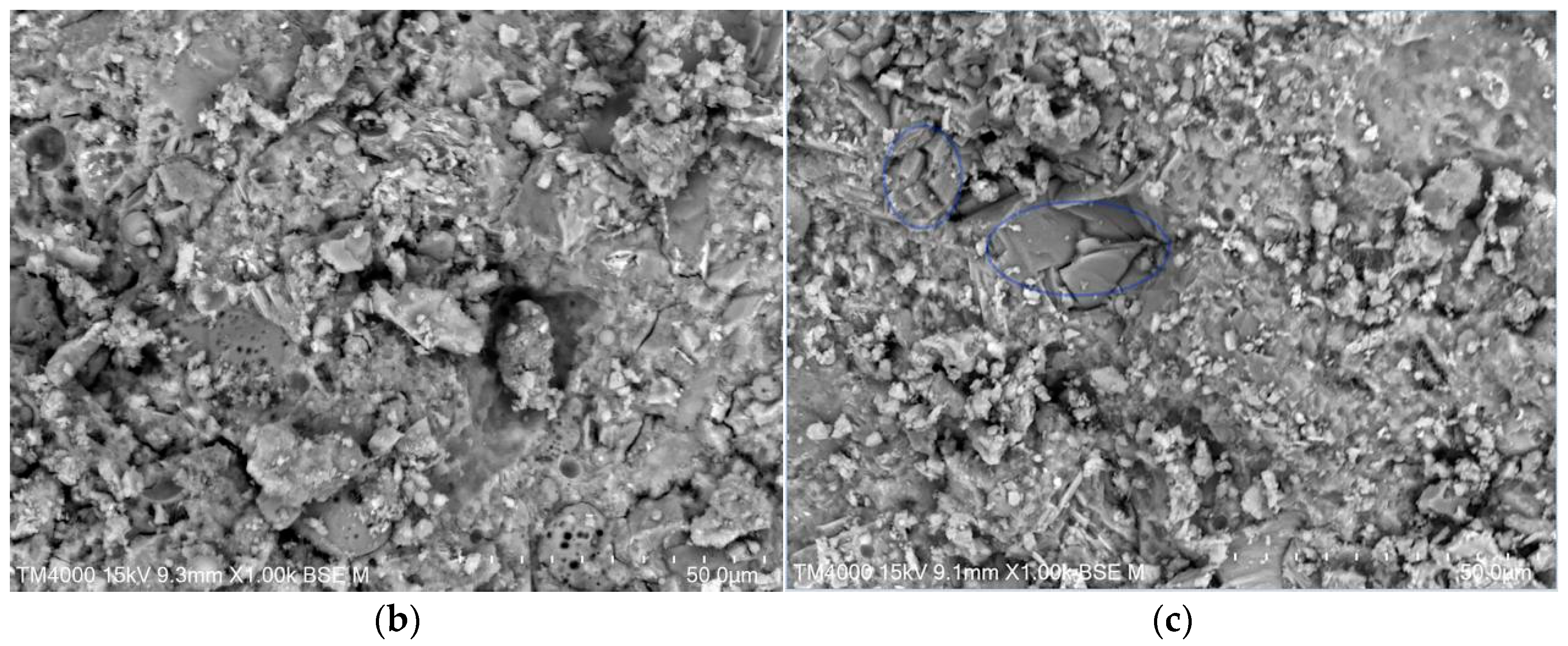An Innovative Material with Strong Frost Resistance—Concrete Containing ...