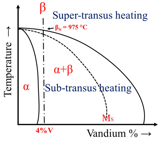 Effects of Annealing and Solution Treatments on the Microstructure and ...