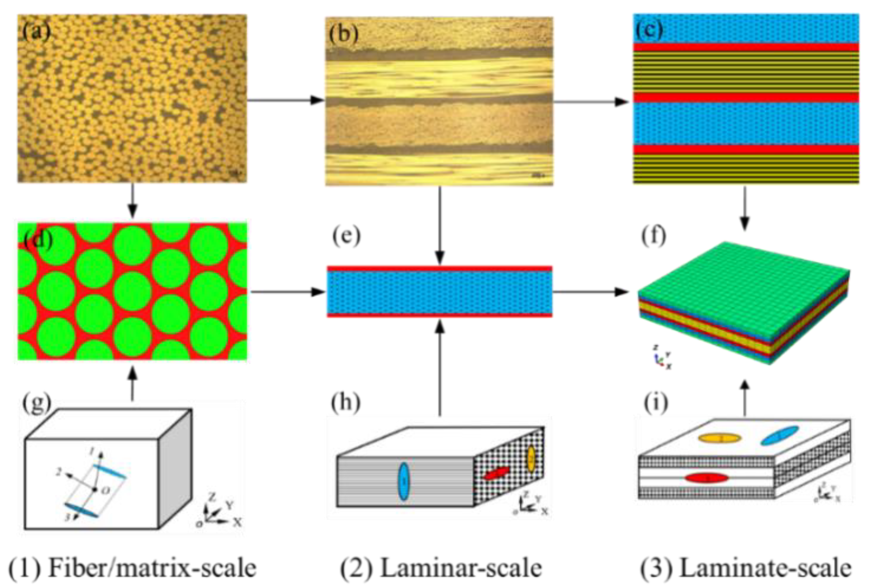 Numerical Tensile Damage Procedure Analysis of Angle-Ply Laminate Using ...