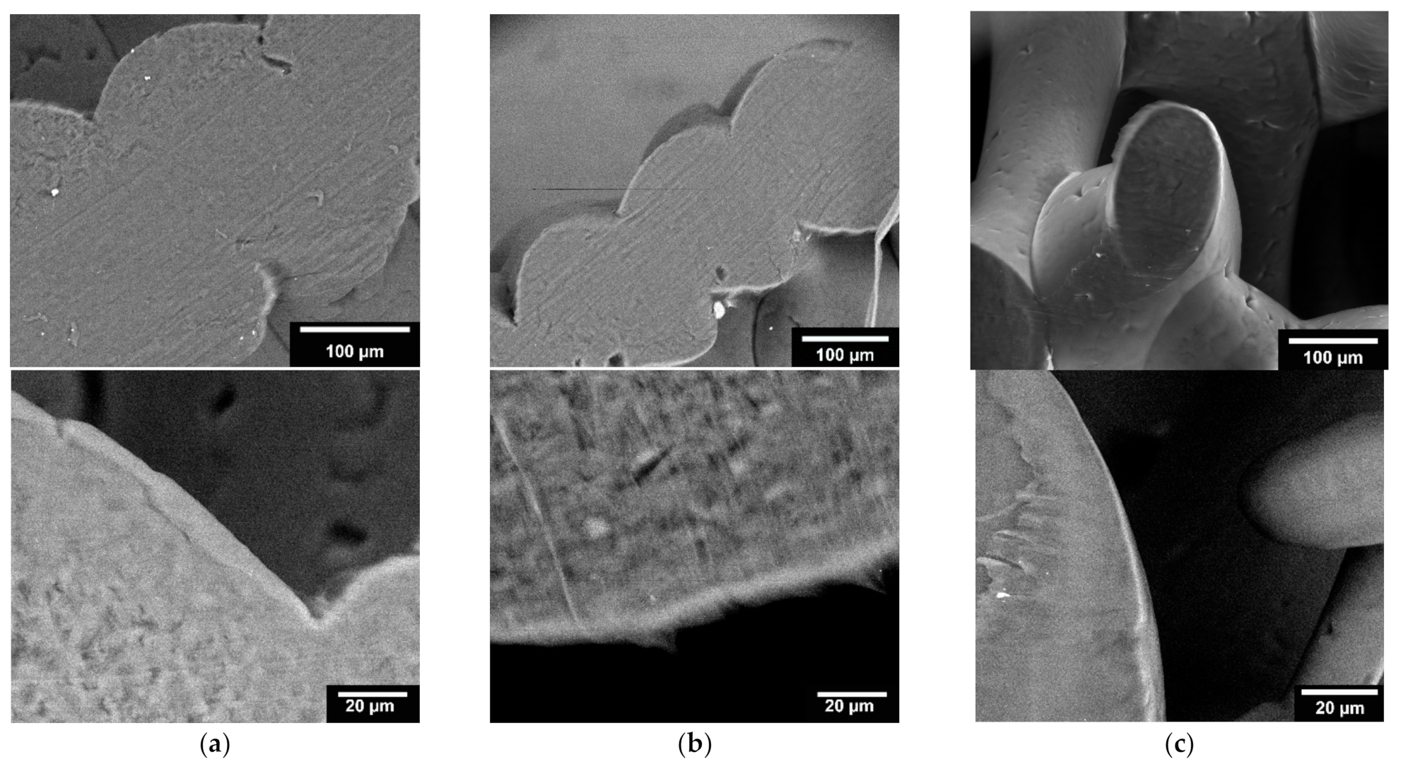 Influence of 3D Printing Parameters on the Mechanical Stability of PCL ...
