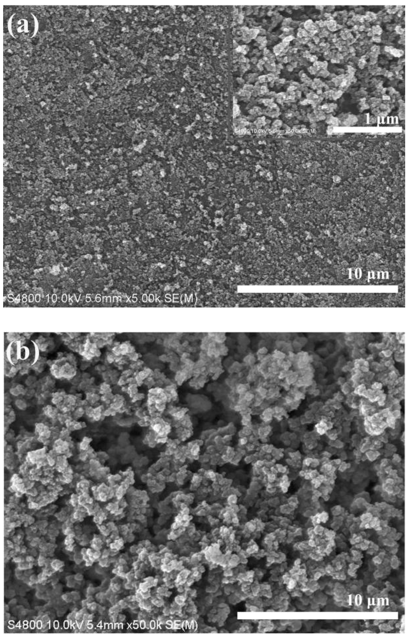 Large-Scale Fabrication of Graded Convex Structure for Superhydrophobic ...
