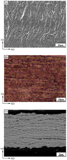 Softened Microstructure and Properties of 12 μm Thick Rolled Copper Foil