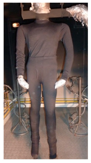 Investigation of Flammability of Protective Clothing System for ...