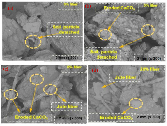 Durability Improvement of Biocemented Sand by Fiber-Reinforced MICP for ...