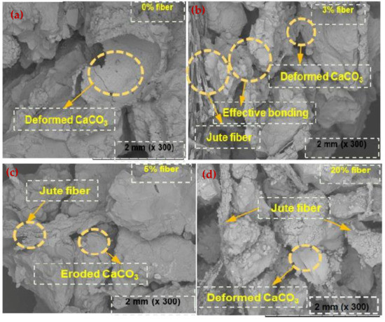Durability Improvement of Biocemented Sand by Fiber-Reinforced MICP for ...