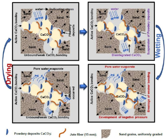 Durability Improvement of Biocemented Sand by Fiber-Reinforced MICP for ...