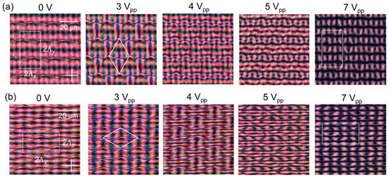 Photoaligned Liquid Crystal Devices with Switchable Hexagonal ...