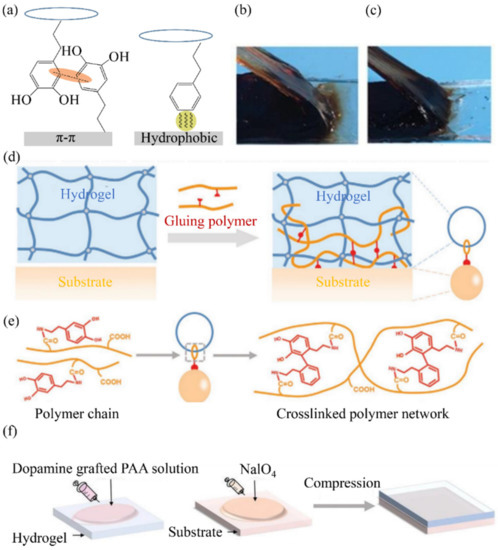 Research Progress on Hydrogel–Elastomer Adhesion