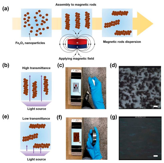 Magnetite Nanoparticles: Synthesis and Applications in Optics and ...