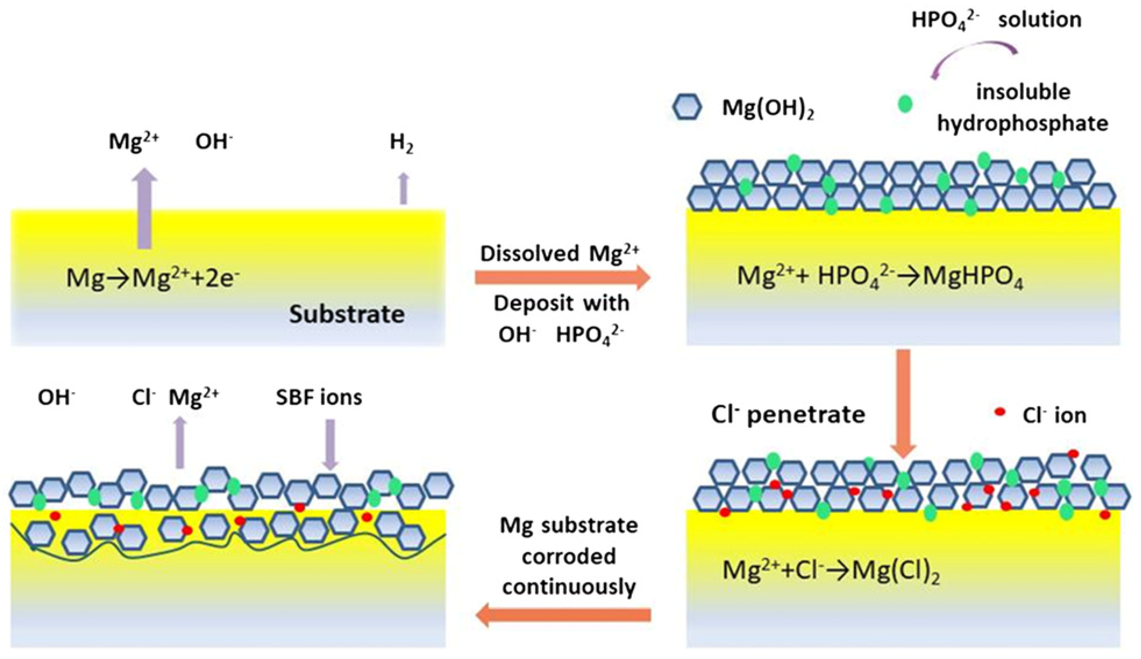 Corrosion Behavior in Magnesium-Based Alloys for Biomedical Applications